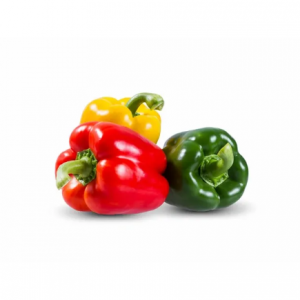 Chomolia – ZIM -ESSENTIALS